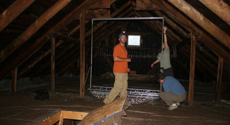 How To Keep Bats Away And Get Rid Of Them