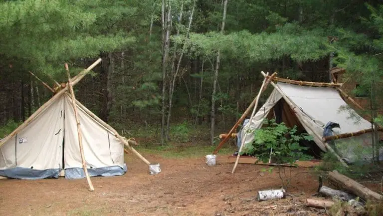 How To Keep Bees Away From My Campsite: The Complete Guide